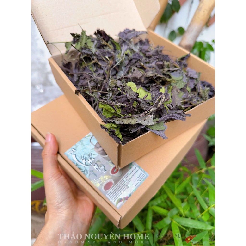 Trà lá tía tô giống cũ Thảo Nguyên Home ( Vietnamese Perilla Tea ...