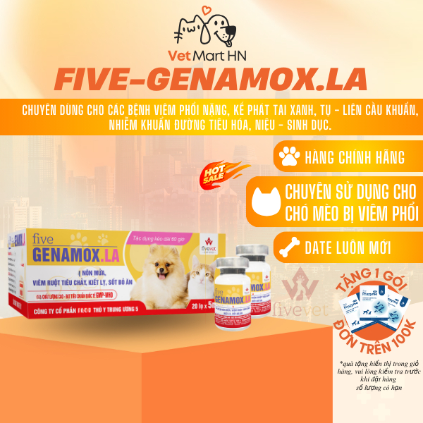 Five-Genamox.LA Hỗ Trợ Viêm Phổi Nặng Tụ Liên Cầu Tai Xanh Nhiễm Khuẩn ...