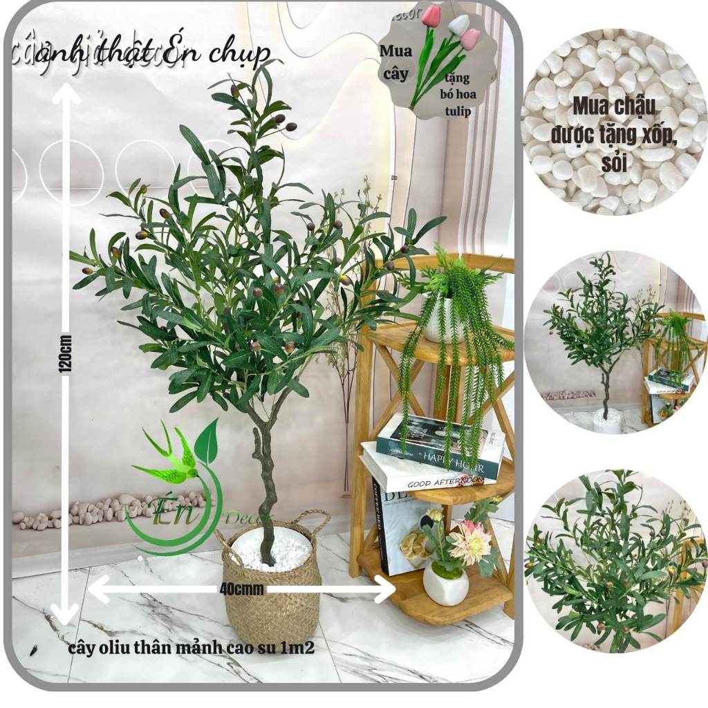 cây oliu giả, cây oliu quả cao 1m2 mảnh giả, mua cây tặng bó hoa tulip ...