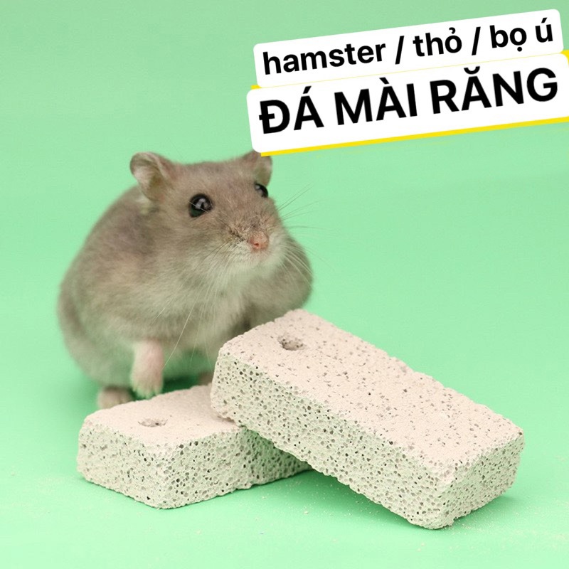 Đá Mài Răng Cho Hamster, Bổ Sung Canxi Cho Hamster Thỏ Bọ Ú | Shopee ...