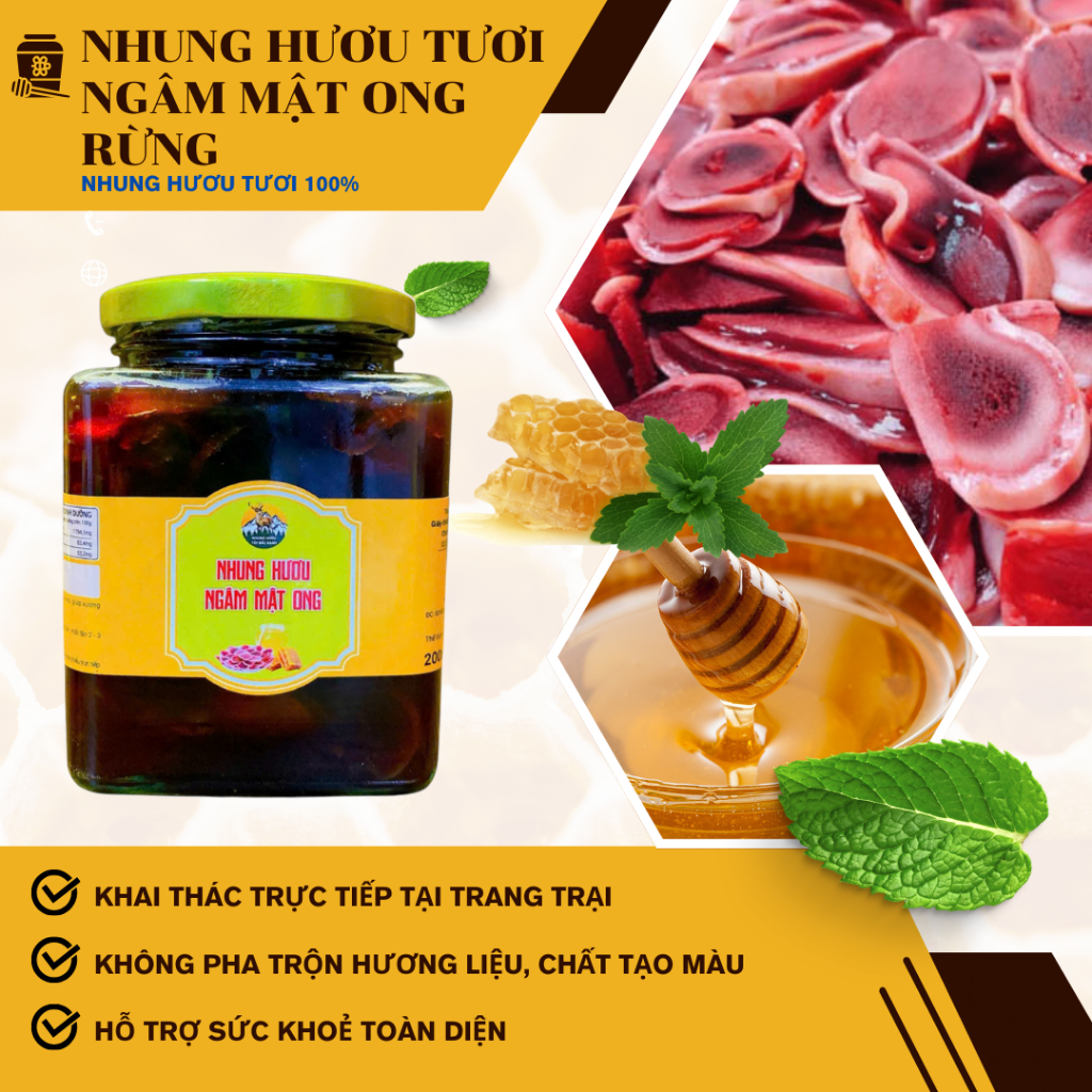 Nhung Hươu Tươi Ngâm Mật Ong Rừng Nguyên Chất - Quà Tặng Sức Khỏe ...