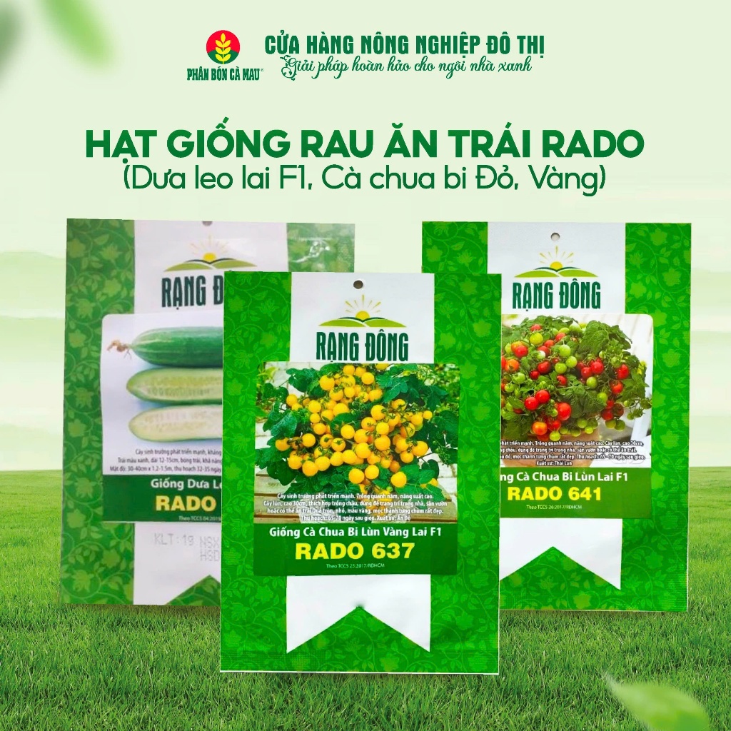 Hạt giống rau ăn trái RADO Giống tốt - Mùa bội thu (Dưa leo lai F1, Cà chua bi lùn đỏ, vàng ...
