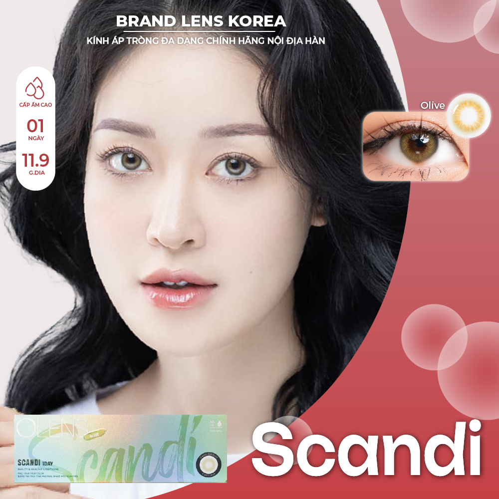 Kính áp tròng cận 1 ngày BRANDLENSKOREA OLENS SCANDI OLIVE lens màu ...