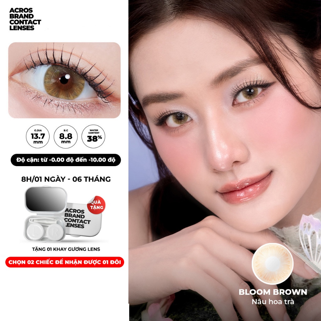 Kính áp tròng 8h/ngày 6 tháng ACROS, Lens màu Nâu trà BLOOM BROWN (01 ...
