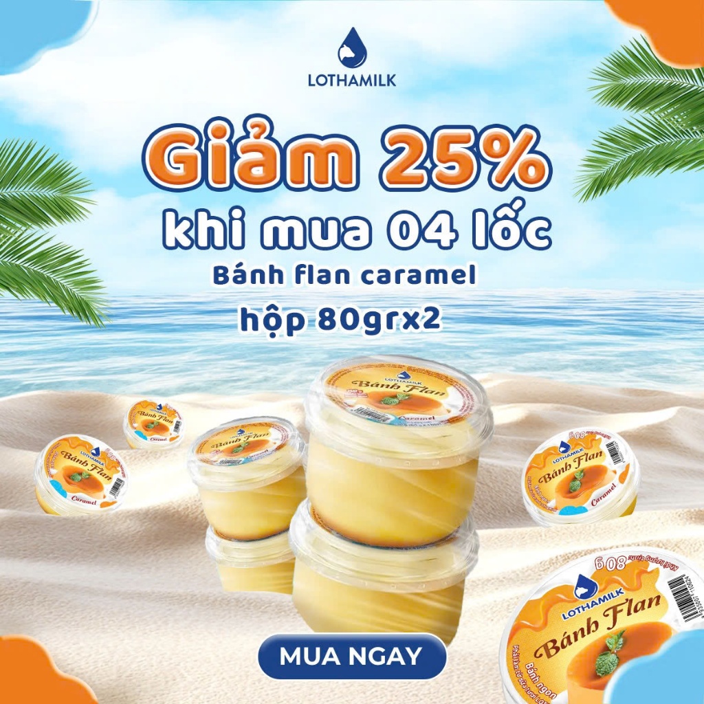 Combo 4 Lốc Bánh flan Lothamilk vị caramel 80gx2 | Shopee Việt Nam