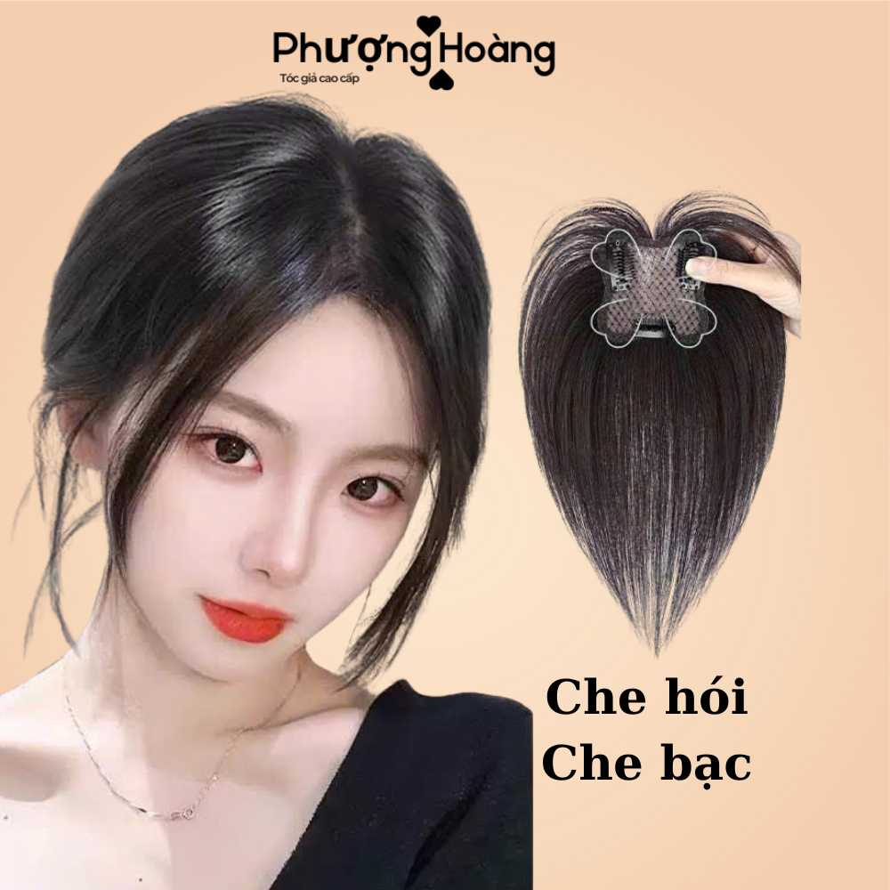 Tóc Giả Che Hói, Che Bạc – Lưới Siêu Da Đầu Tự Nhiên – Tóc Giả Nữ Chấm ...