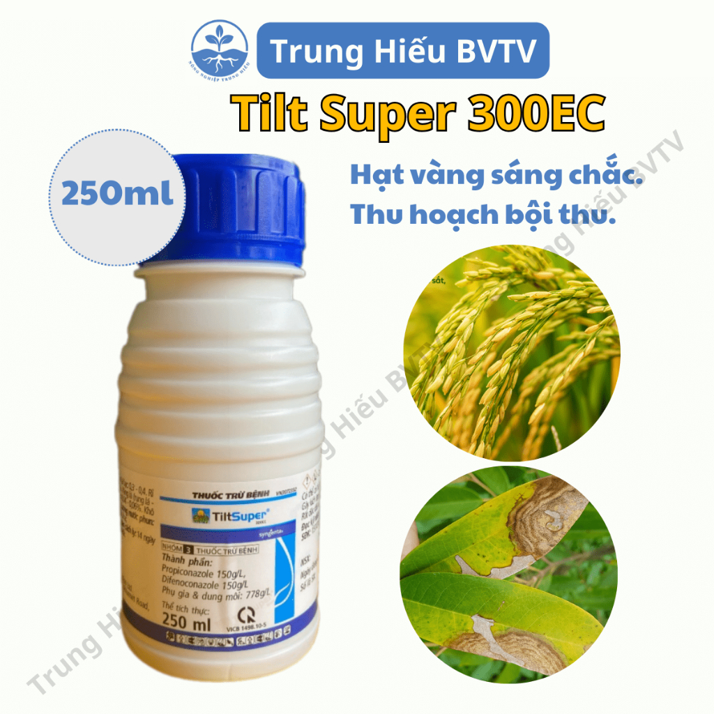Thuốc Trừ Bệnh Tilt Super 300ec Của Syngenta Chai 250ml, Phòng Lem Lép ...