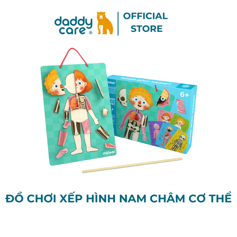 Đồ Chơi Xếp Hình Nam Châm Cơ Thể Mideer Human Body Magnetic Puzzle ...