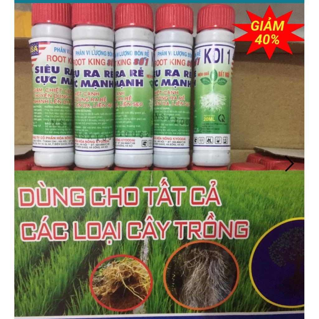 Kích rễ root king giải độc, hạ phèn, đâm chồi | Shopee Việt Nam