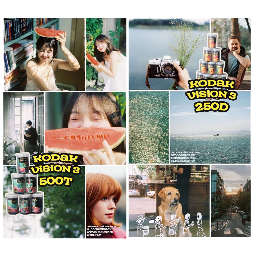 [HỎA TỐC HCM] Film ĐIỆN ẢNH CINE Kodak Vision 3 50D 200T 250D 500T 100D 320T 400D 800T Indate ...