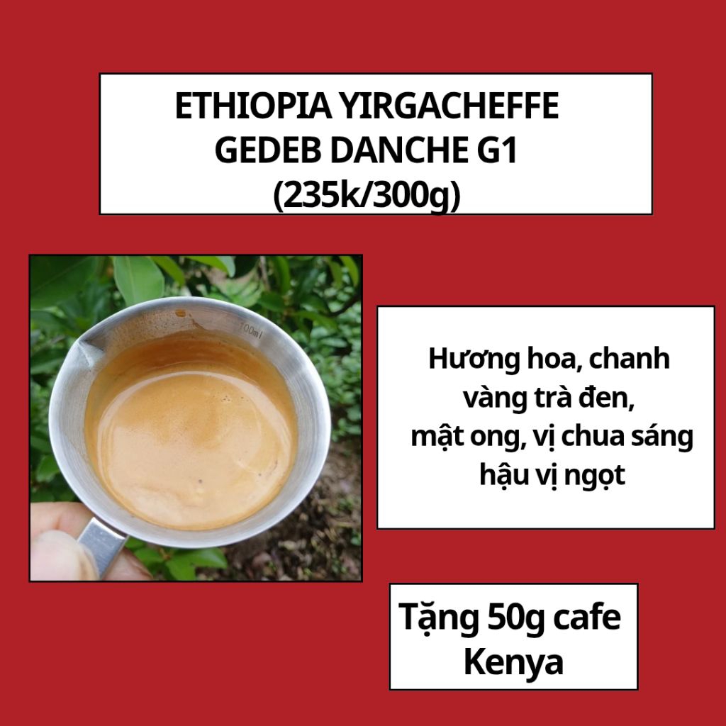 Cafe Ethiopia Yirgacheffe Gedeb Danche washed g1 | Shopee Việt Nam