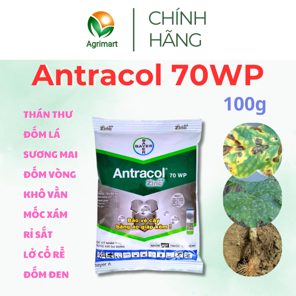Thuốc trừ bệnh Antracol 70WP - Phòng trừ Nấm bệnh Vàng lá thối rễ Phục ...