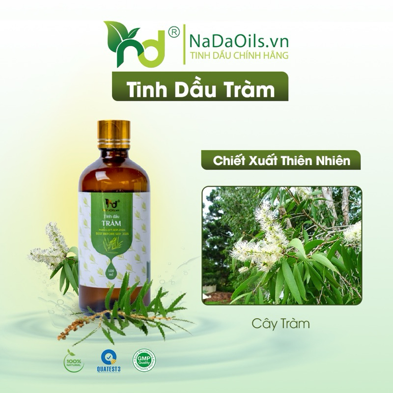 Tinh dầu tràm | NADA OILS | thơm phòng, giúp thư giãn| được kiểm định ...