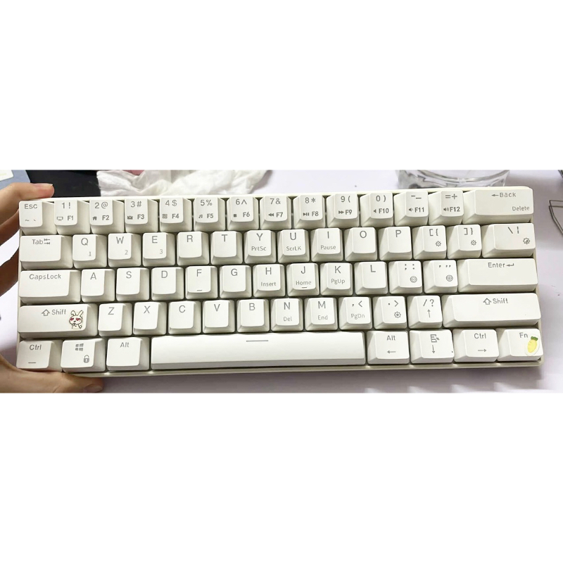 [Pass] Bàn Phím Cơ RK61 Version 4 LED RGB KHÔNG DÂY | Shopee Việt Nam