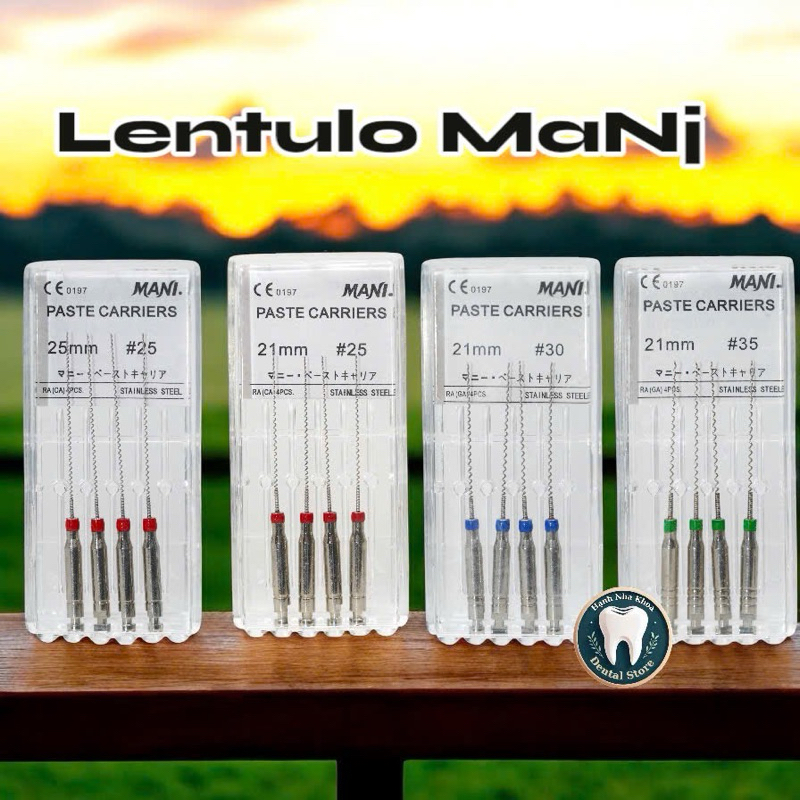 Lentulo Mani Nhật Bản (Hộp 4 cây) Trám Bít Ống Tủy– | Shopee Việt Nam