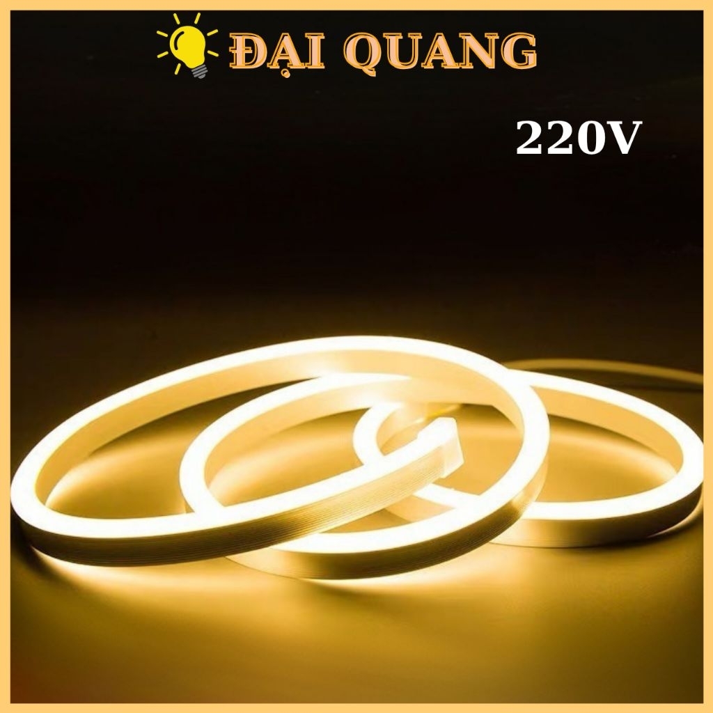 Dây Led Neon 220V cao cấp (1M -10M), đã gồm nguồn, dây Led chống nước ...