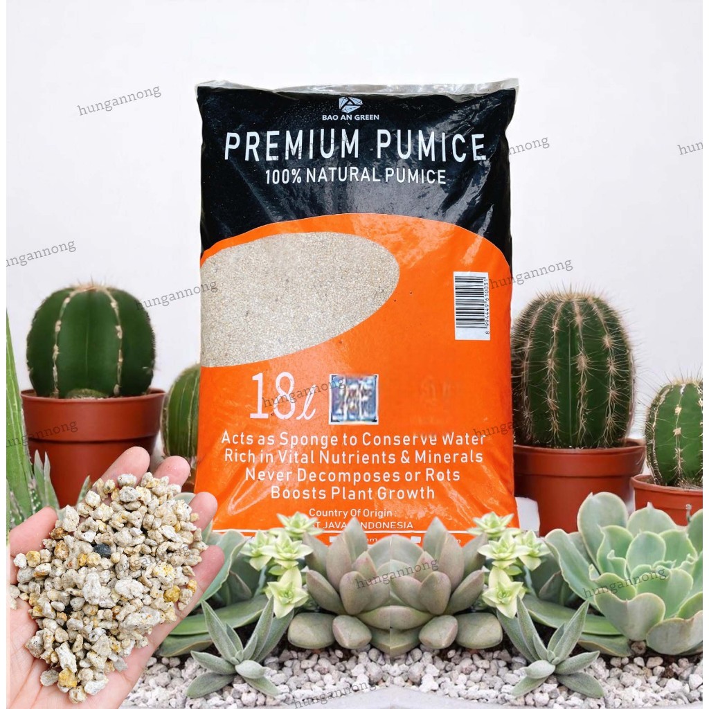 1kg Đá Pumice Premium nhập khẩu Indonesia cao cấp 100% thiên nhiên đã ...