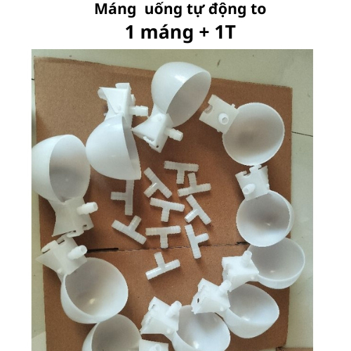 Combo 10 máng uống nước tự động cho chim + T nối + 10m dây ti ô ...