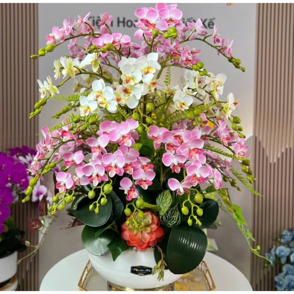 Bình Hoa Tiểu Hồ Điệp Cắm Tròn cho khách ( cao 90-95cm) | Shopee Việt Nam