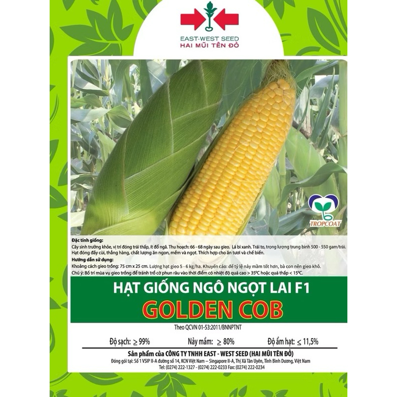 HẠT GIỐNG NGÔ NGỌT LAI F1 GOLDEN COB- Hàng chất lượng cao 50gr | Shopee ...