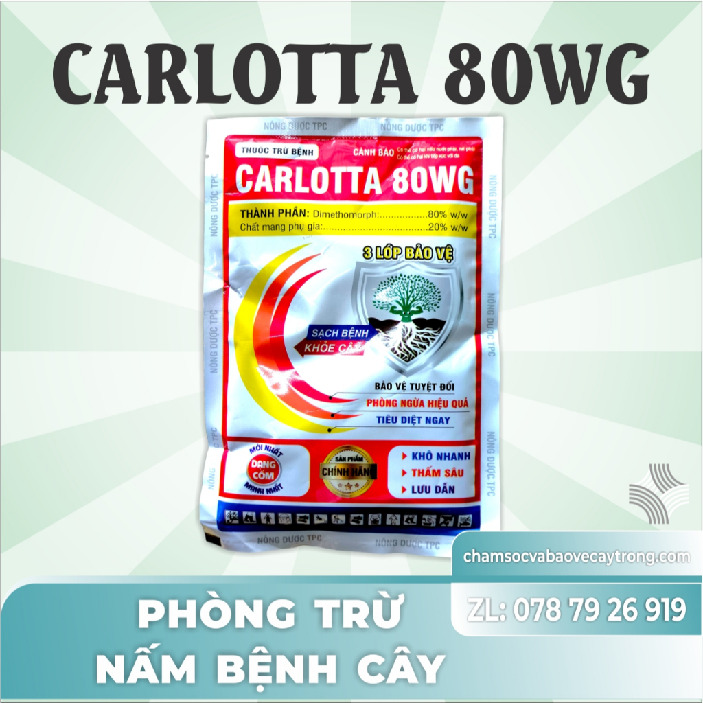 CARLOTTA 80WG Phòng Ngừa Thán Thư Ớt - Đốm Trái Ớt | Shopee Việt Nam
