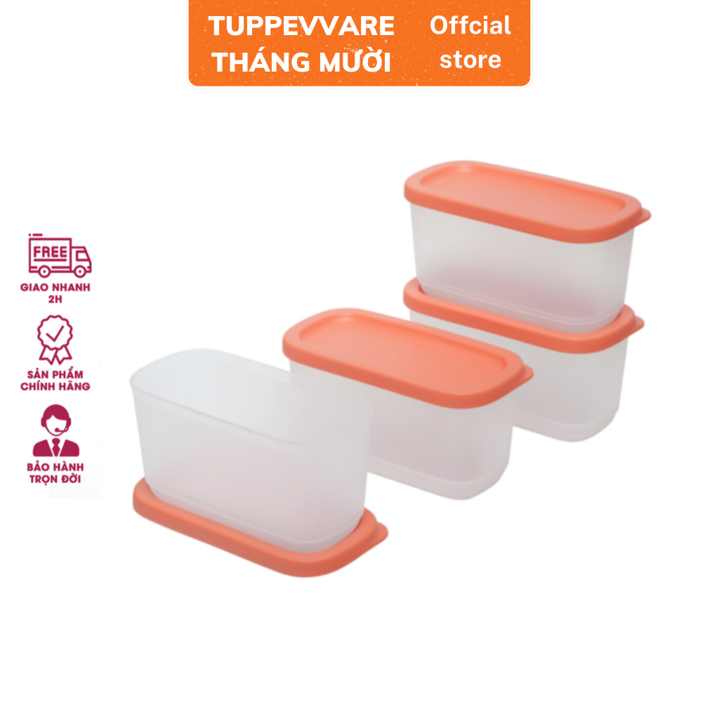 Bộ 04 hộp Bảo quản thực phẩm Tupperware Cubix Mini Rectangular 250ml ...