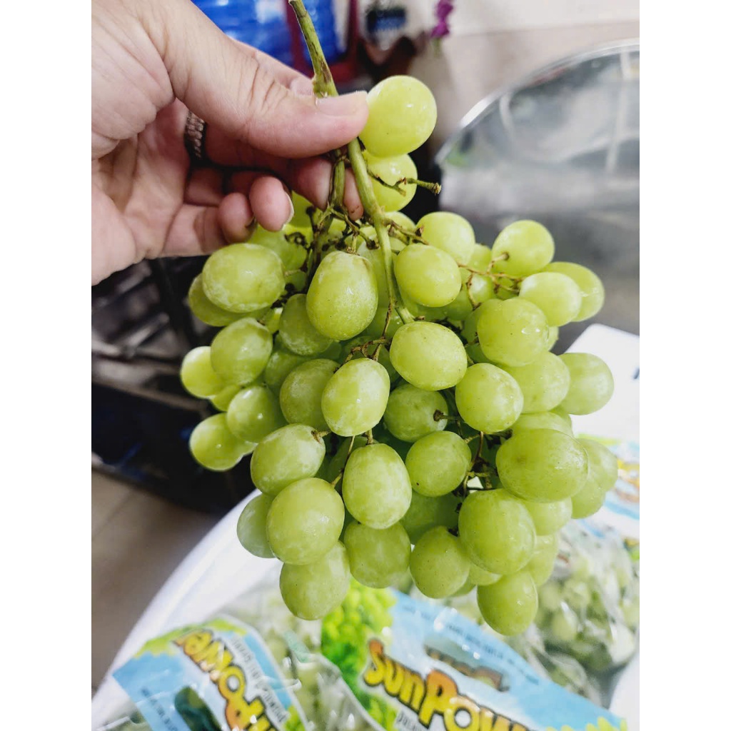 [Ship Hỏa Tốc HCM 1-2 giờ ] 1kg Nho Xanh M ỹ giòn ngọt cuống có se, da xấu. | Shopee Việt Nam