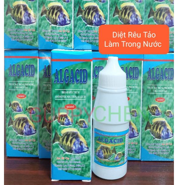 Dung Dịch Diệt Rêu Tảo Hại Cho Hồ Cá - ALGACID ARICARE 60ml | Shopee ...