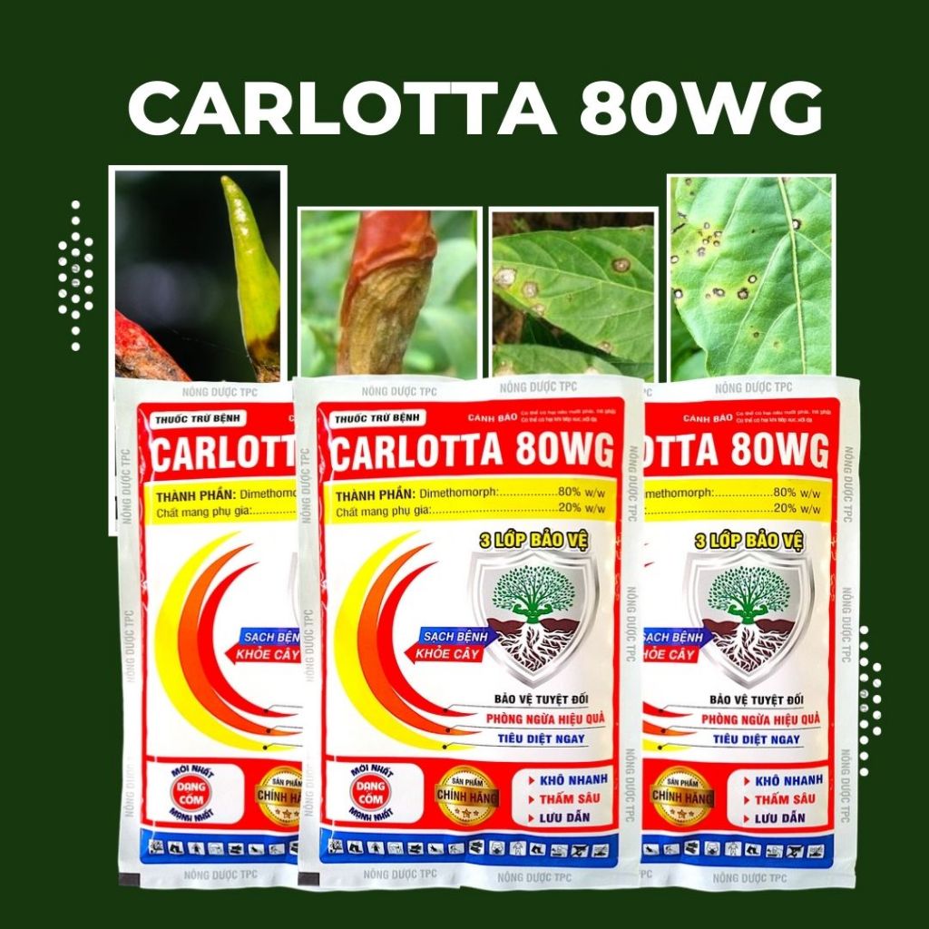 Thán Thư Ớt - Carlotta 80WG - Ngừa Đốm Trái Ớt | Shopee Việt Nam