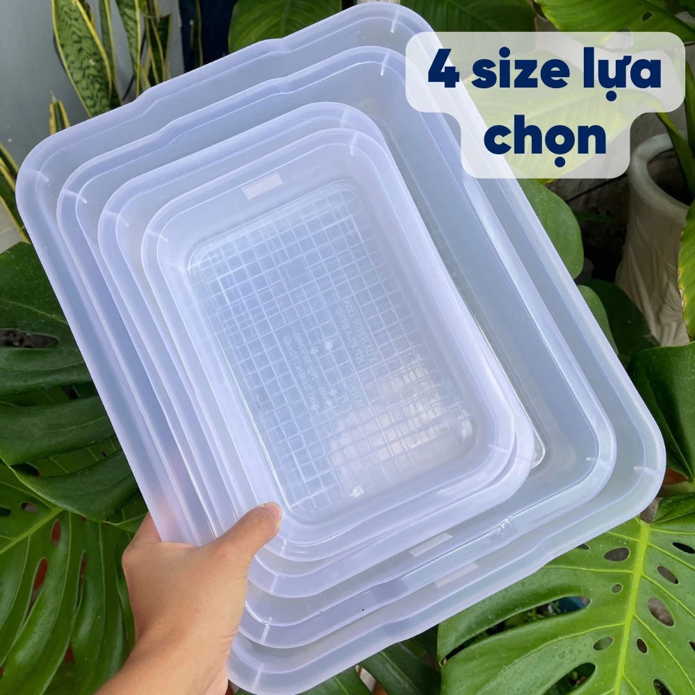 Khay Nhựa Chữ Nhật Trong Suốt Đựng Đồ Đa Năng Không Nắp 4 Size Lựa Chọn, Nhựa PP Màu Trắng Trong ...