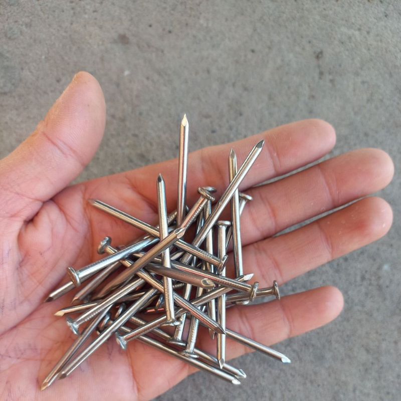 10kg đinh inox | Shopee Việt Nam