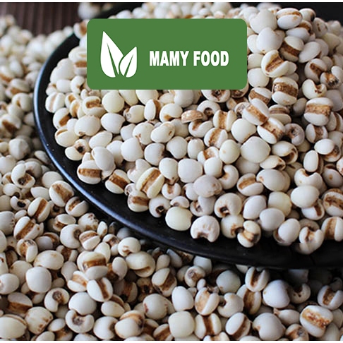 MAMY FOOD Ý dĩ hữu cơ healthy | Shopee Việt Nam