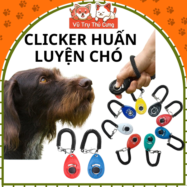 Clicker huấn luyện Chó nghe lời, Poodle, Pug, Husky, Chihuahua ...