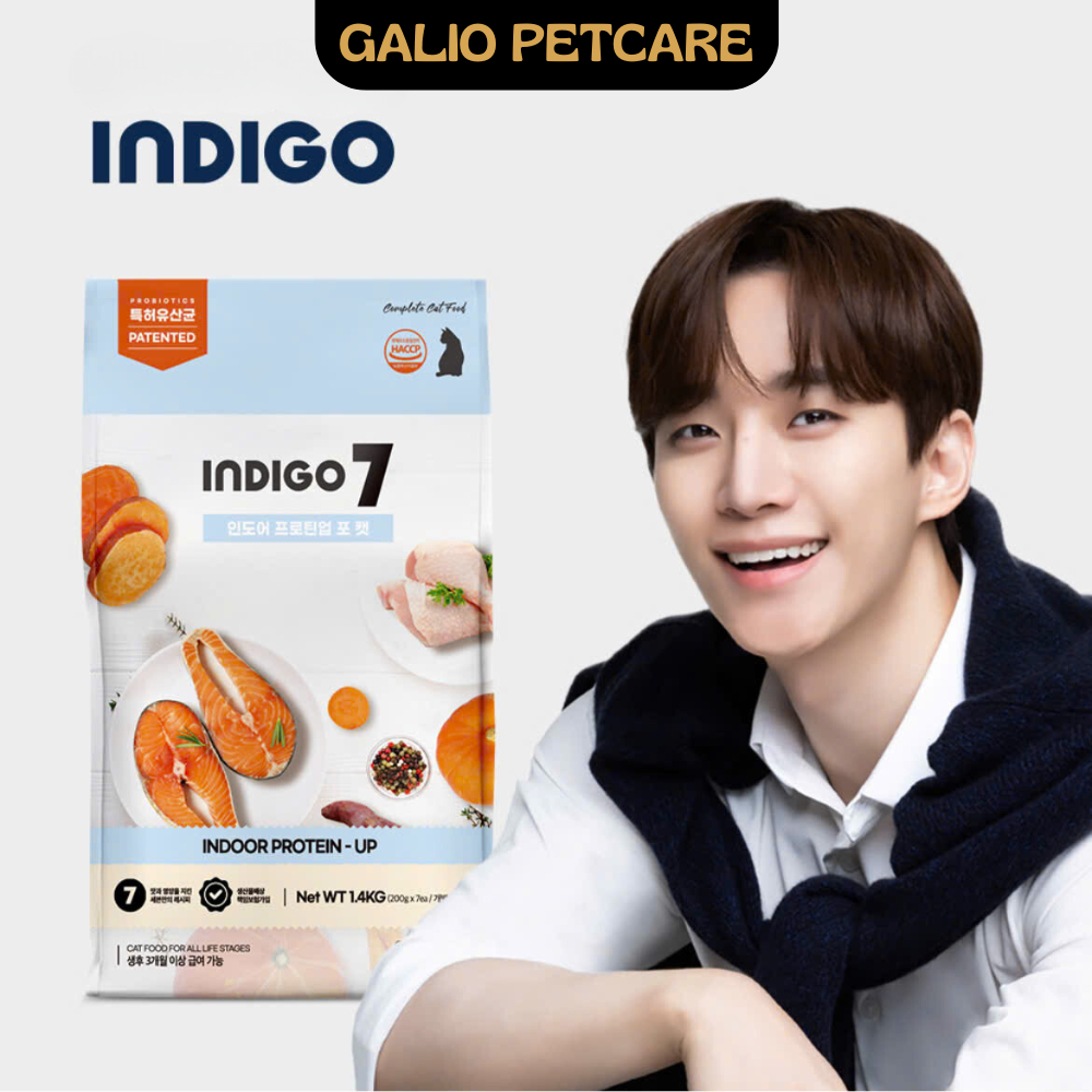 Thức ăn hạt cho Mèo INDIGO 7 Protein Up bổ sung dinh dưỡng, túi 1.4Kg ...