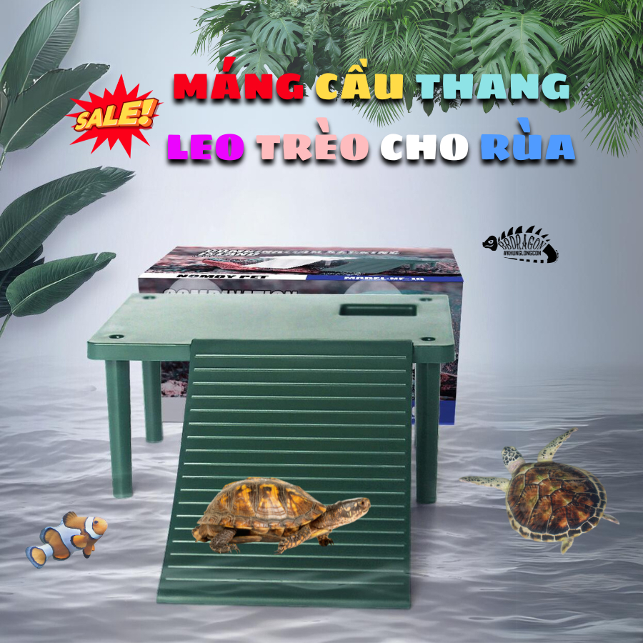 MÁNG RÙA NƯỚC CẦU THANG LEO TRÈO CHO RÙA, BABA, ẾCH. CHỖ LEO CHO PET ...