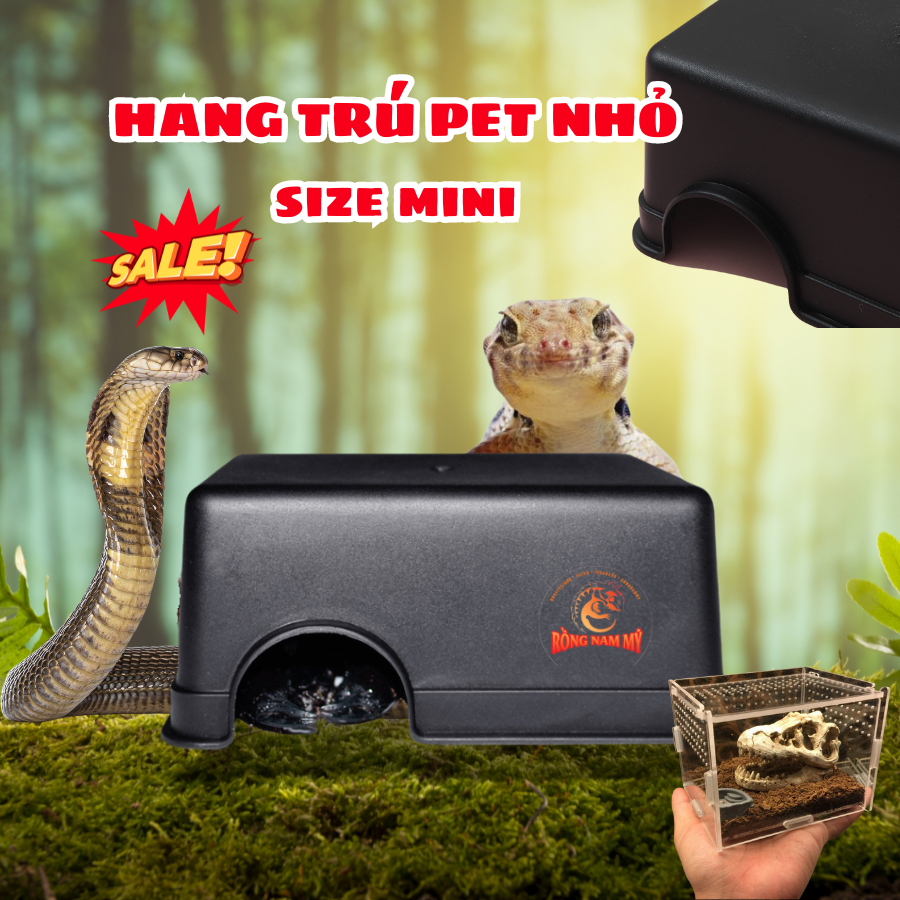 HANG TRÚ PET NHỎ,HANG TRÍ MINI CHO GECKO THẰN LẰN LG, THẰN LẰN ĐUÔI MẬP ...