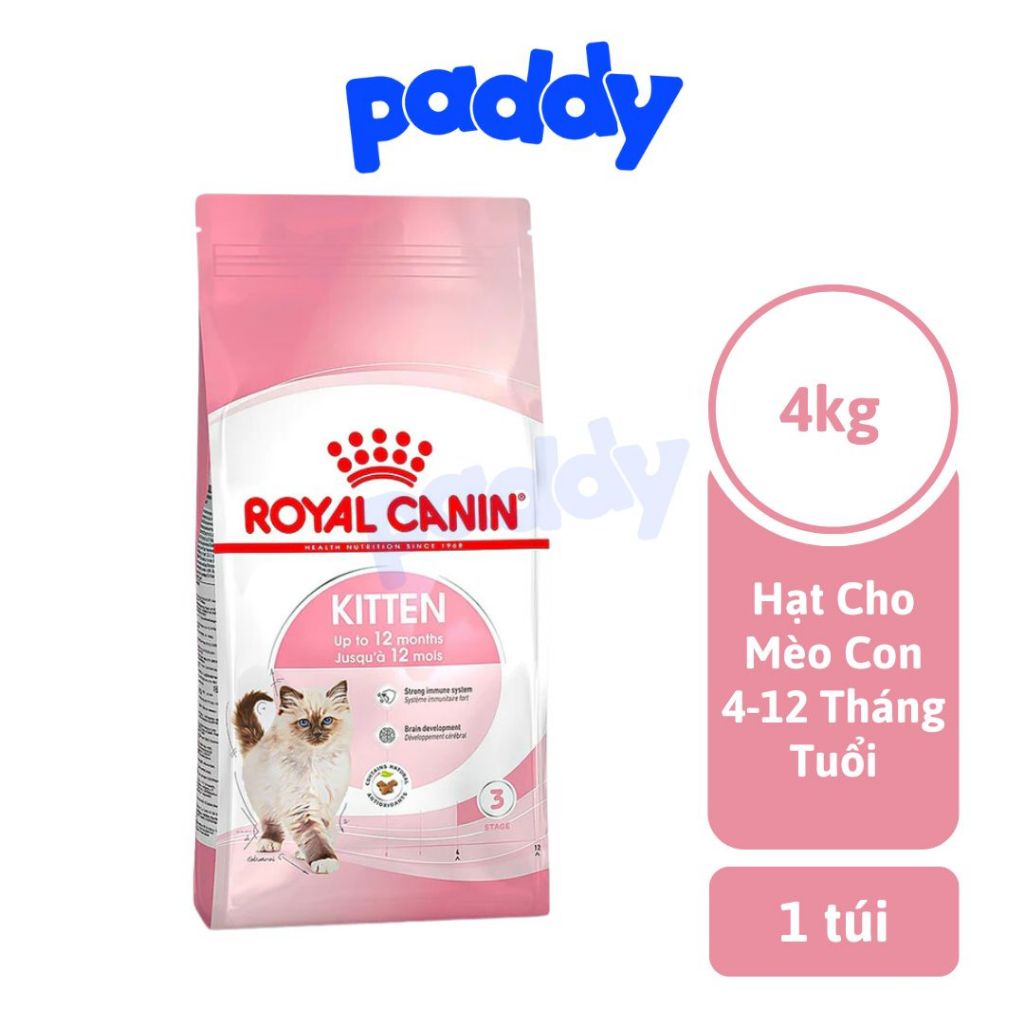 [4kg] Hạt Royal Canin Kitten 36 Cho Mèo Con | Shopee Việt Nam