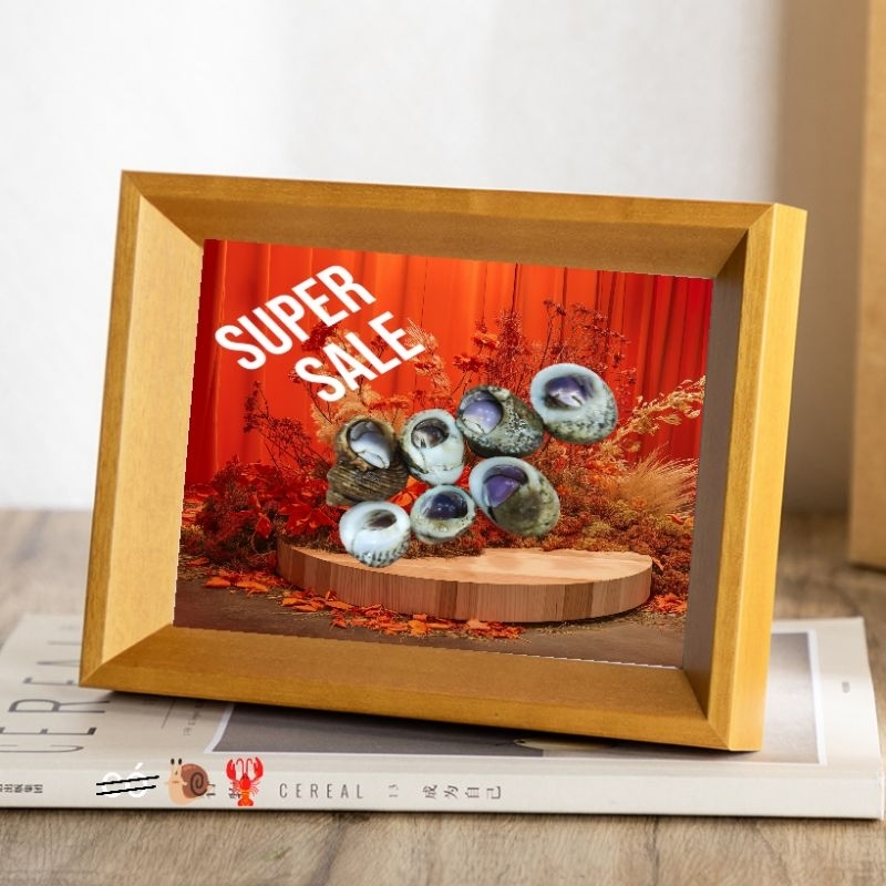 khung tranh brevi mini | Shopee Việt Nam