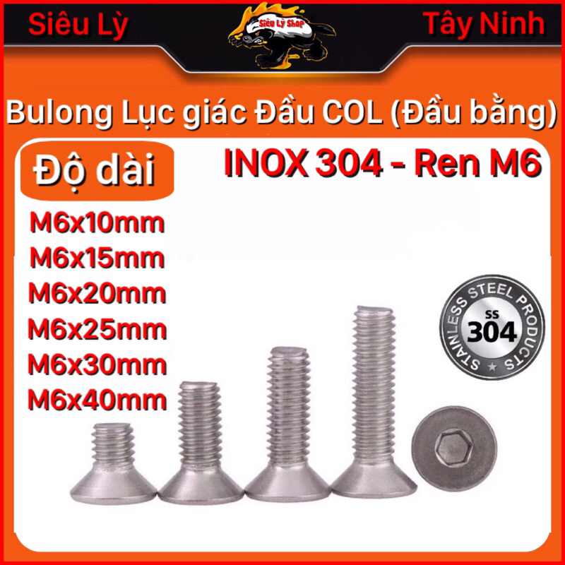 [Set 10con] Bulong lục giác INOX 304 Đầu Col (Đầu Bằng) - Size M6 ...