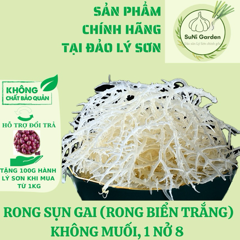 RONG SỤN GAI - LÝ SƠN SUNI 500GR, RONG BIỂN LÀM NỘM ,SEA MOSS GEL, NẤU ...