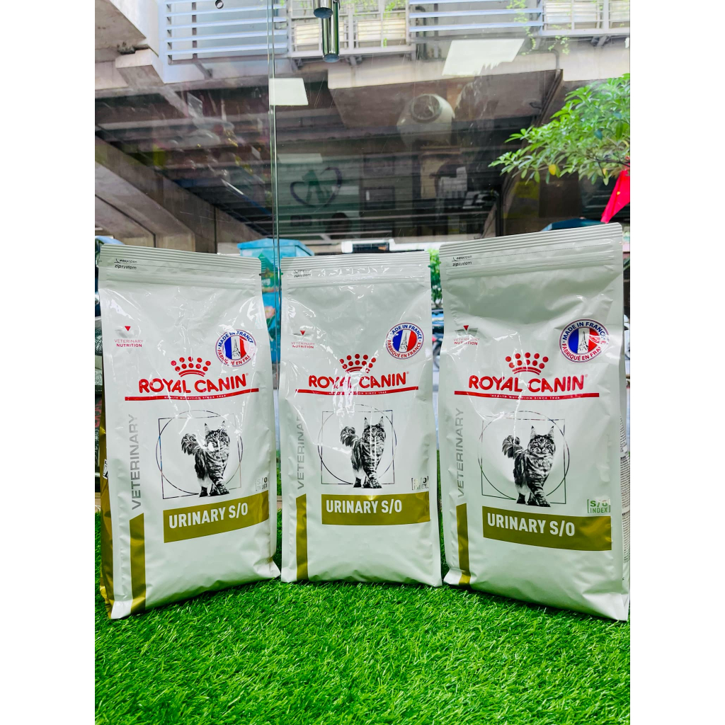 Hạt Royal Canin Urinary S/O Cho Mèo Bị Sỏi Thận & Tiết Niệu 1.5kg ...