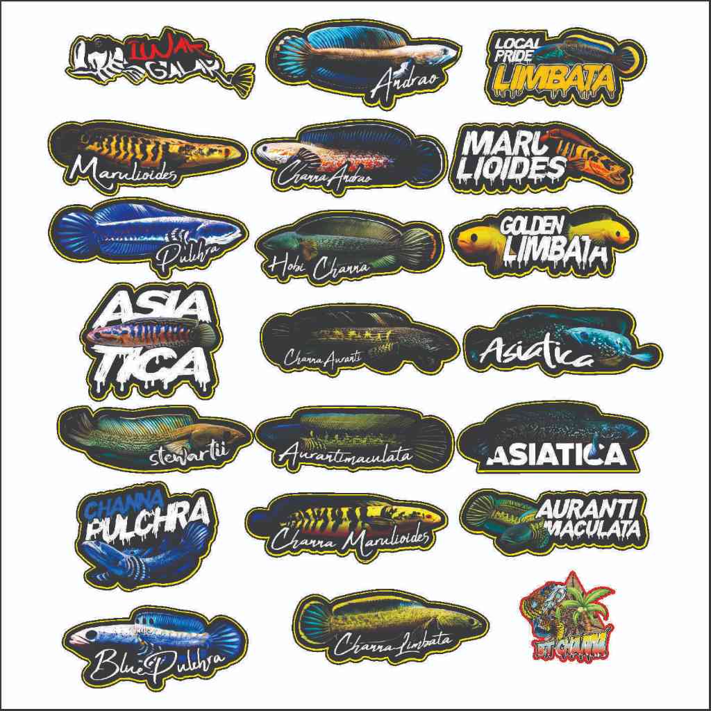 Sticker cá lóc ngẩu nhiên kiểu indo dán hồ cá - decal nhựa chóng thấm ...