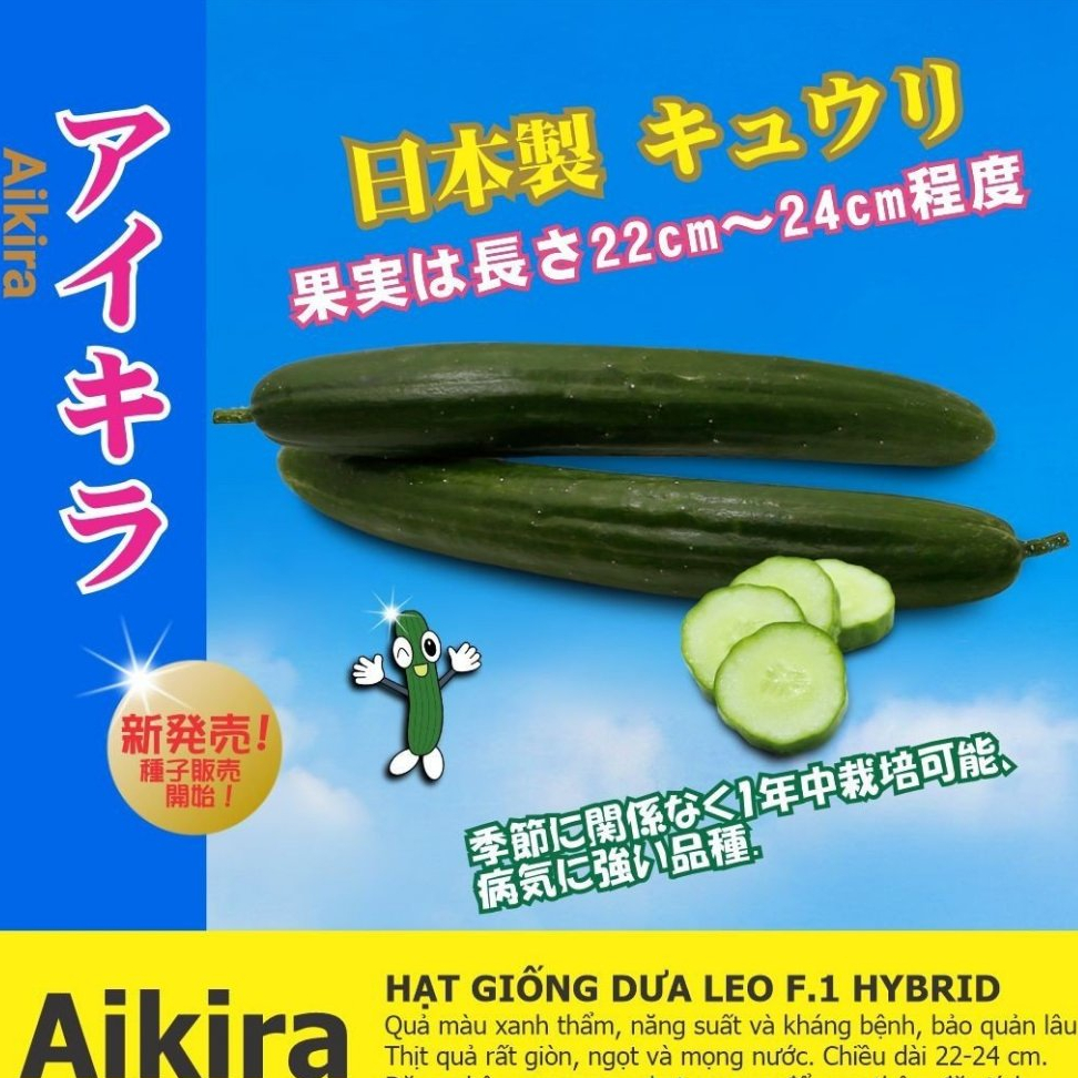Hạt Giống Dưa Leo Dài AIKIRA - Giống Nhật Bản F1 | Shopee Việt Nam