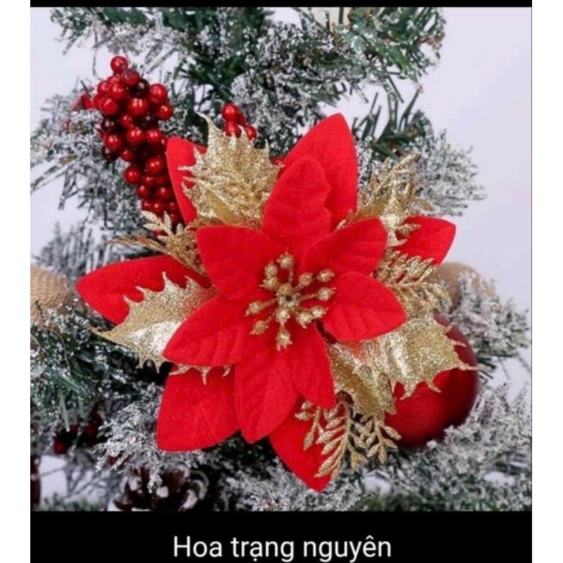 Trạng nguyên trang trí Noen, tết -bịch 50 bông giá sỉ | Shopee Việt Nam