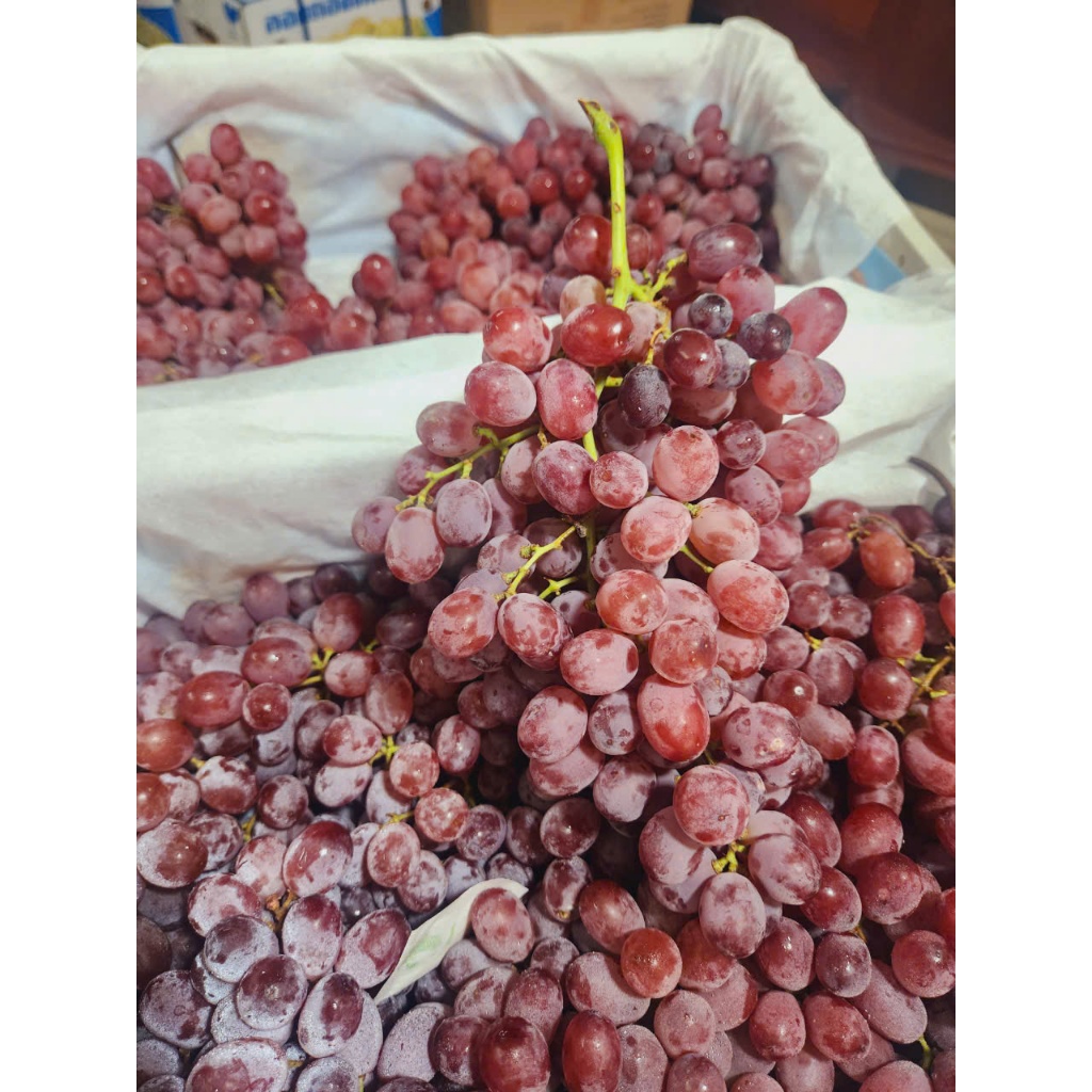 [Ship Hỏa Tốc HCM 1-2 giờ ] 1kg Nho Ruby ngon ngọt.( vị chua nhẹ) cuống ...