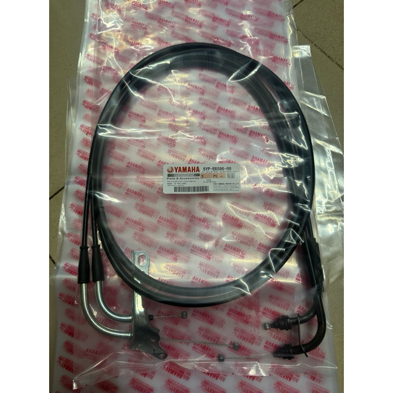 DÂY GA JANUS | Shopee Việt Nam