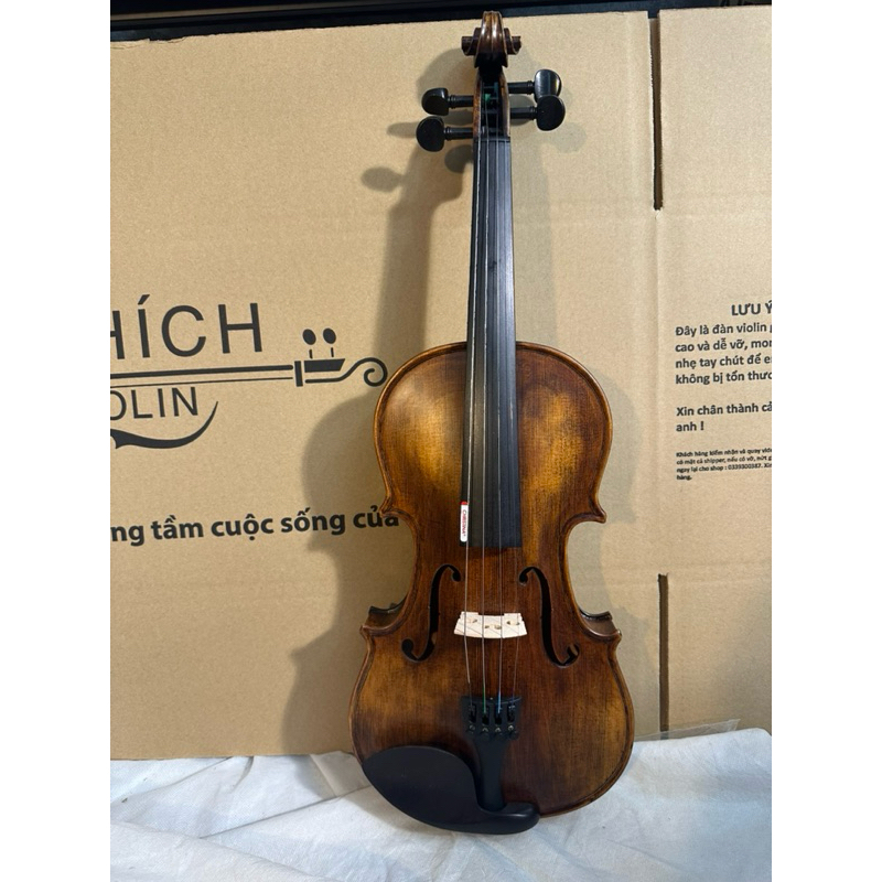 Violin hãng christina Movơal | Shopee Việt Nam