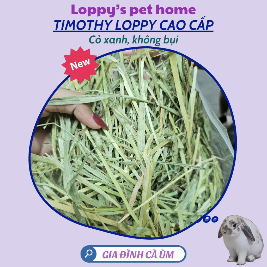 Cỏ khô TIMOTHY xanh, thơm - thức ăn cỏ khô dành cho thỏ/chuột lang (bọ ...