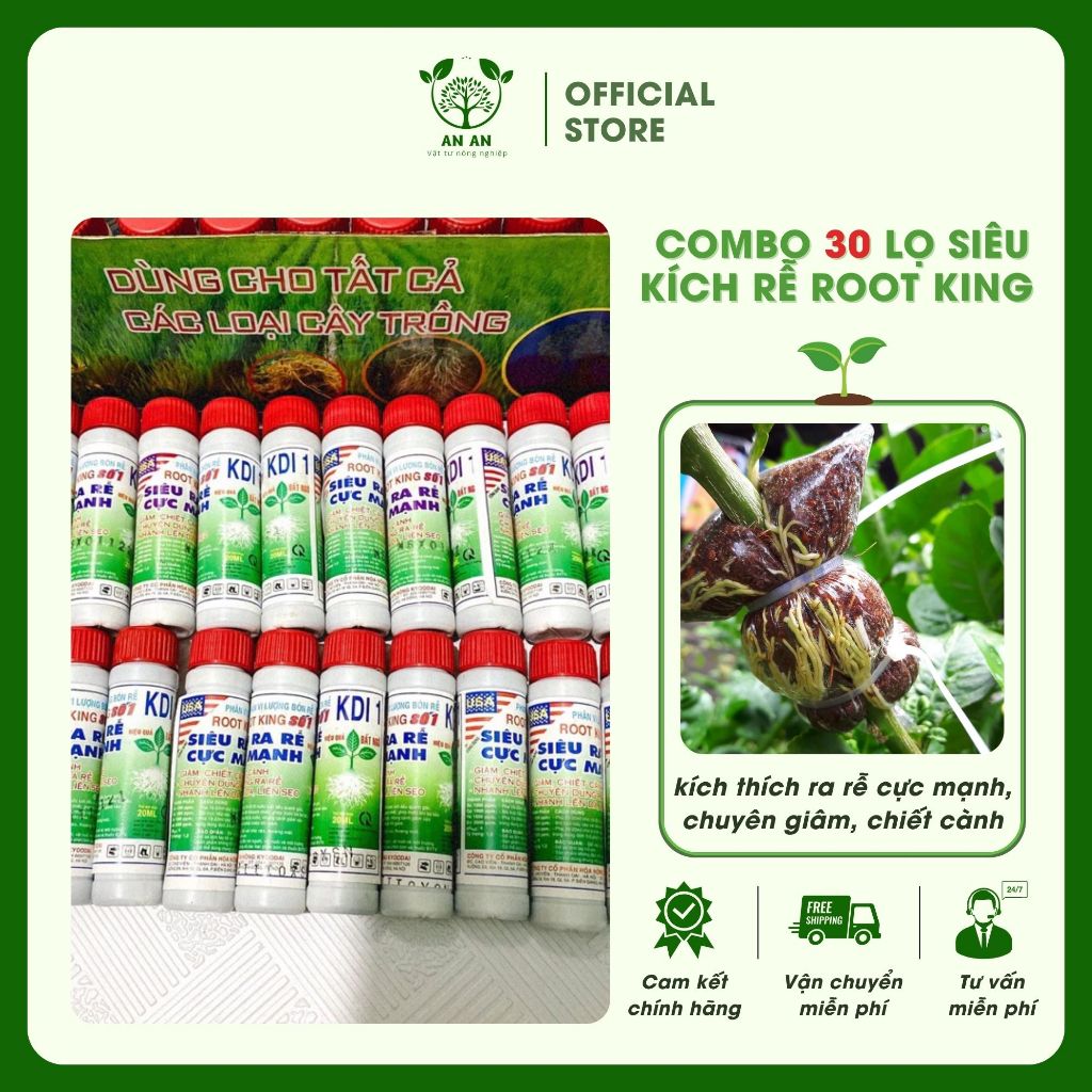 Combo 30 Lọ Siêu Kích Rễ Root King Kích Thích Ra Rễ Cực Mạnh,Chuyên ...