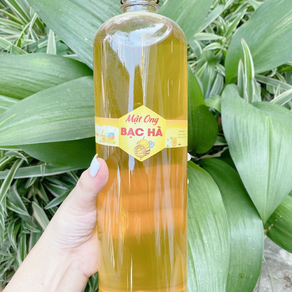 Mật Ong Hoa Bạc Hà Nguyên Chất 500ML/1000ML | Shopee Việt Nam